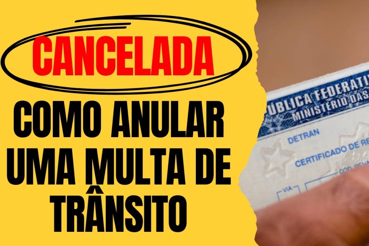 Como saber se a multa foi suspensa ou cancelada? - DETRAN BA